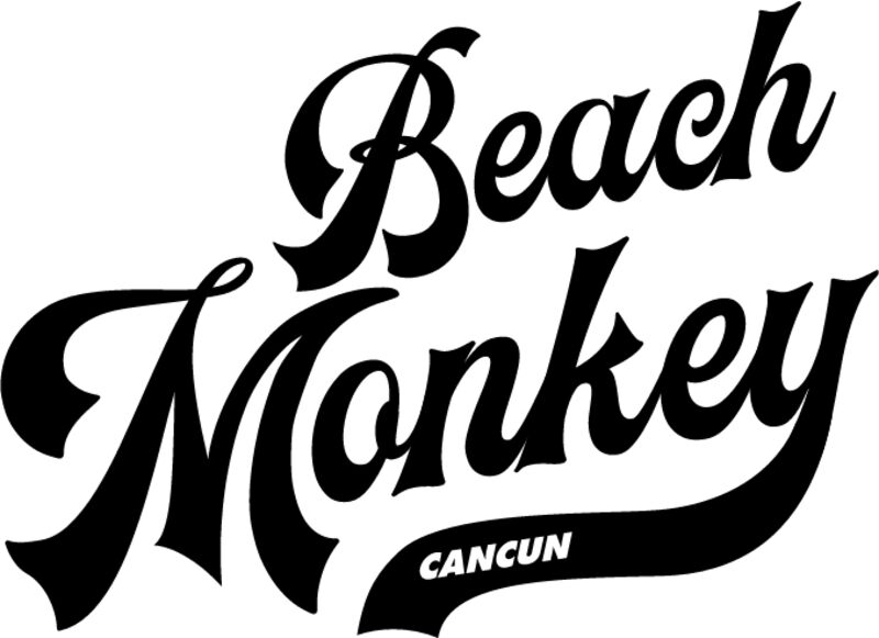 Cancun Beach Monkey Life